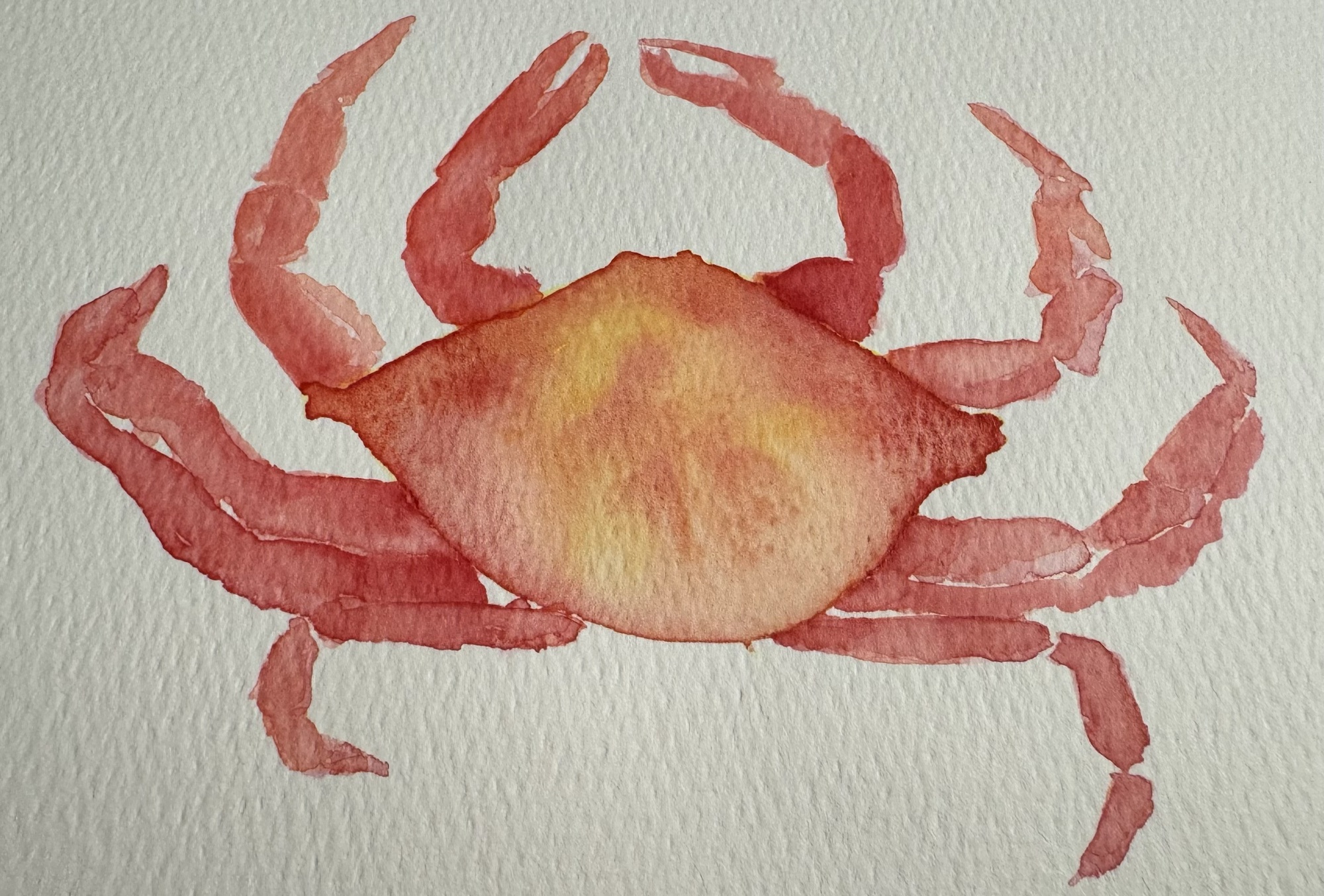 Day 007 of 147 Learning Watercolor: Crab(?) – Watercolor Journal